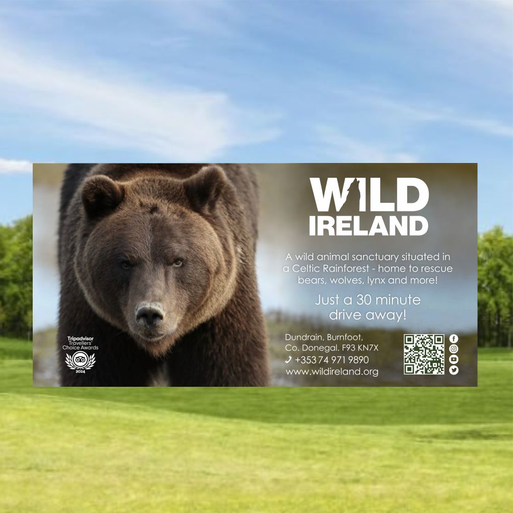 Corry Board Signage - Bizzprint - The Printers